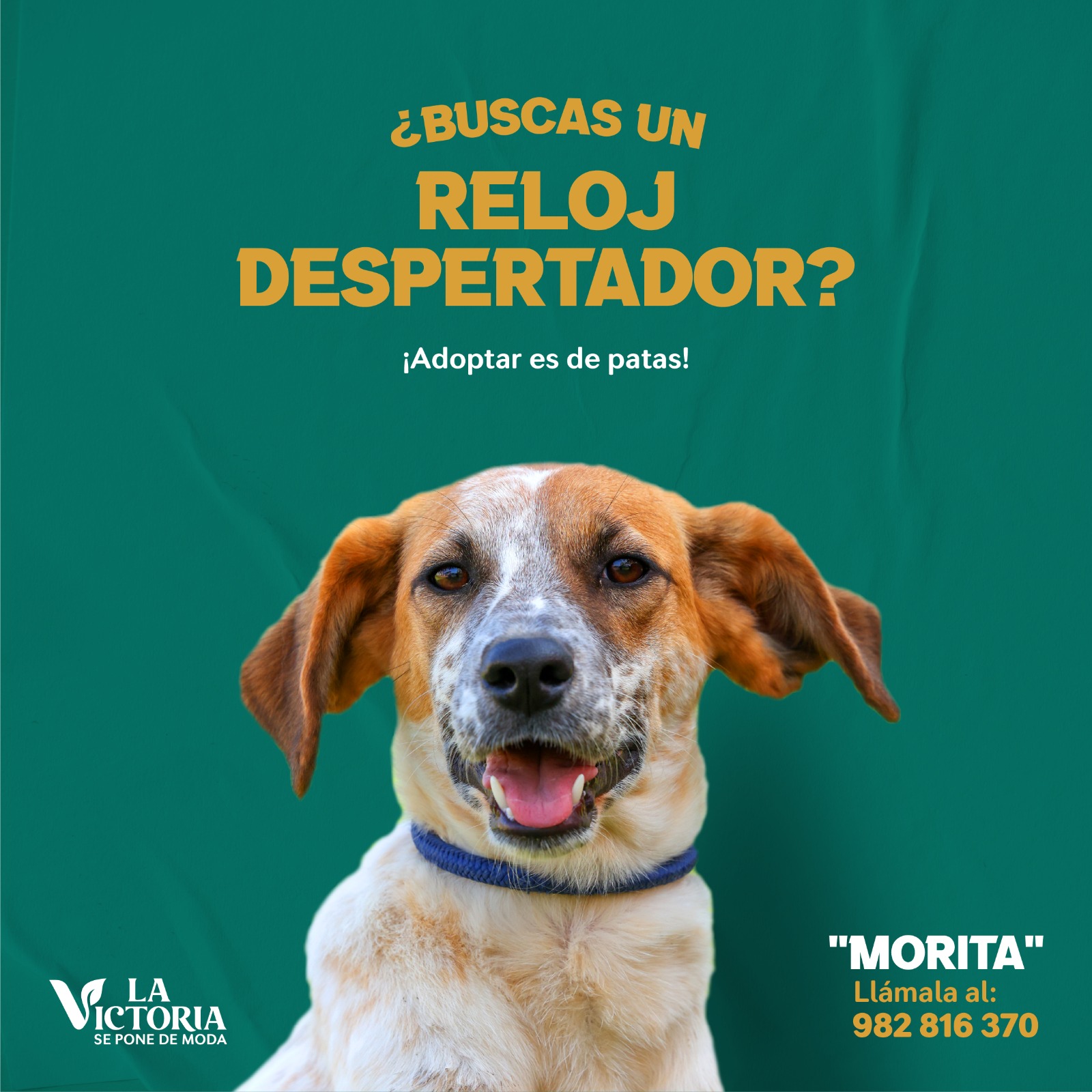 Municipalidad de La Victoria