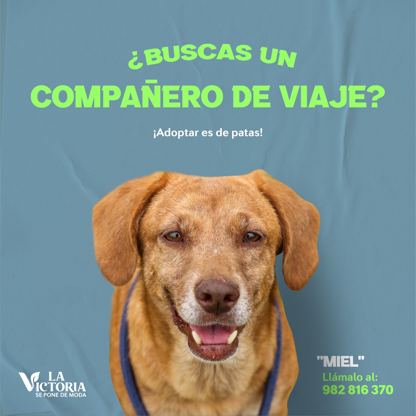 Municipalidad de La Victoria