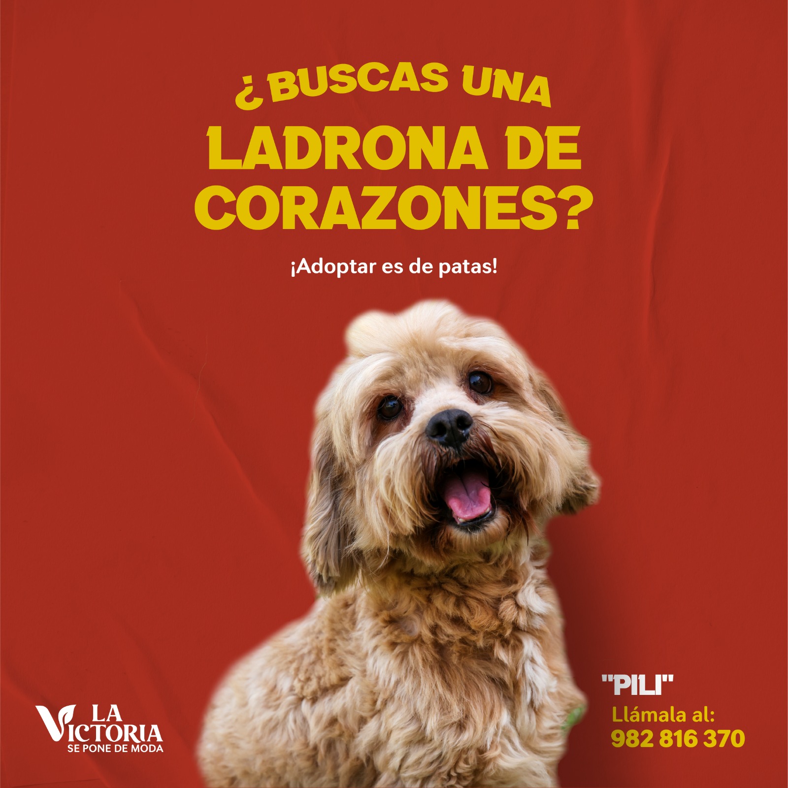 Municipalidad de La Victoria