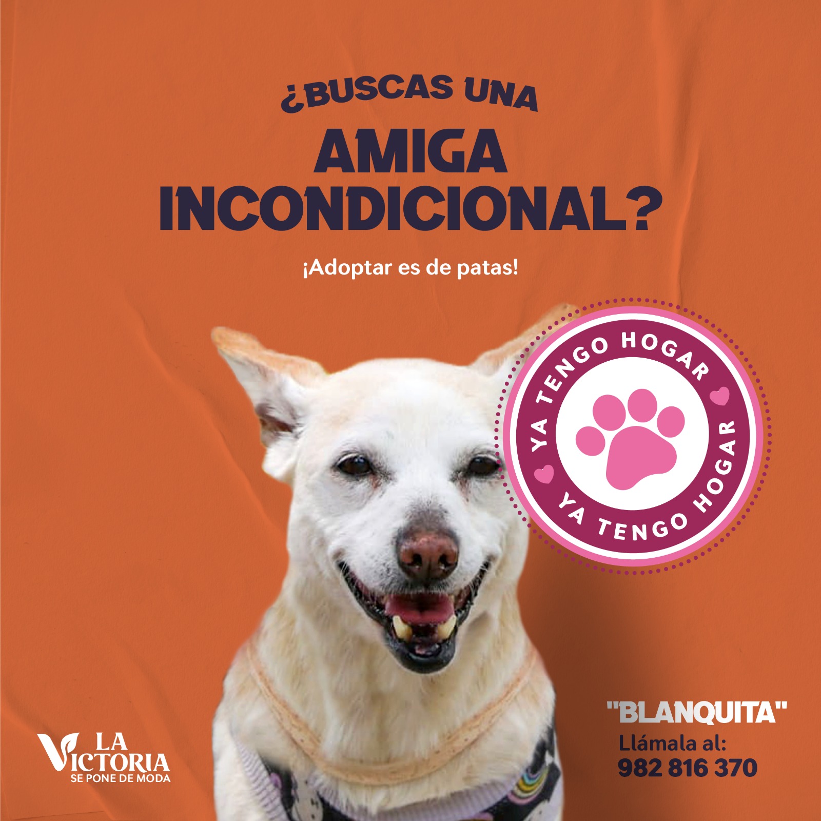 Municipalidad de La Victoria