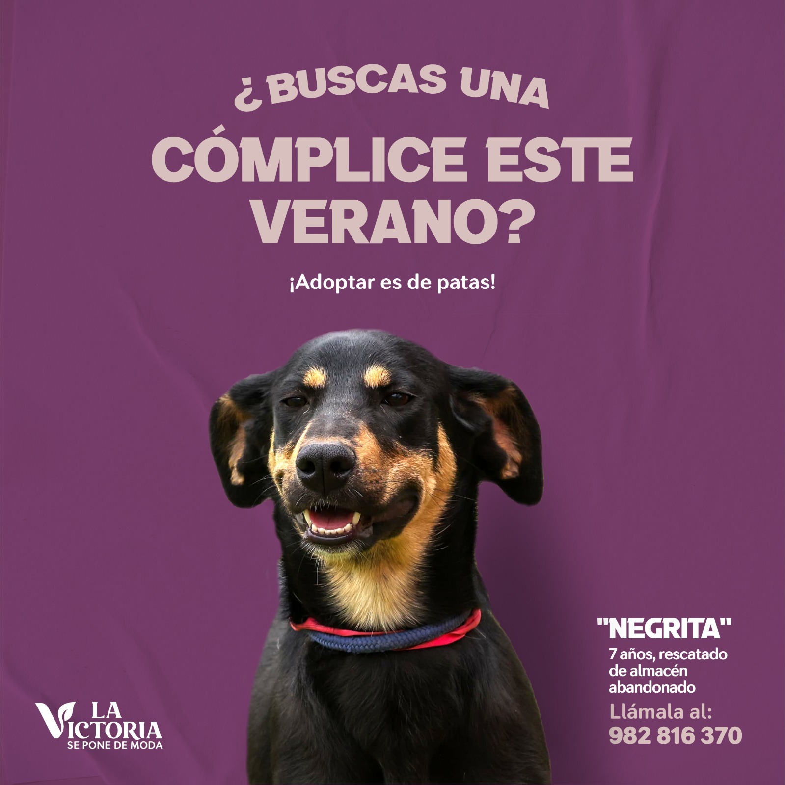 Municipalidad de La Victoria